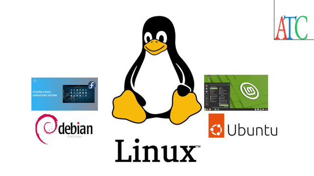 Linuxとは？超初心者でも理解できる基本まとめ｜カーネル・ディストリビューションをやさしく解説 | Aoyama Tech Community